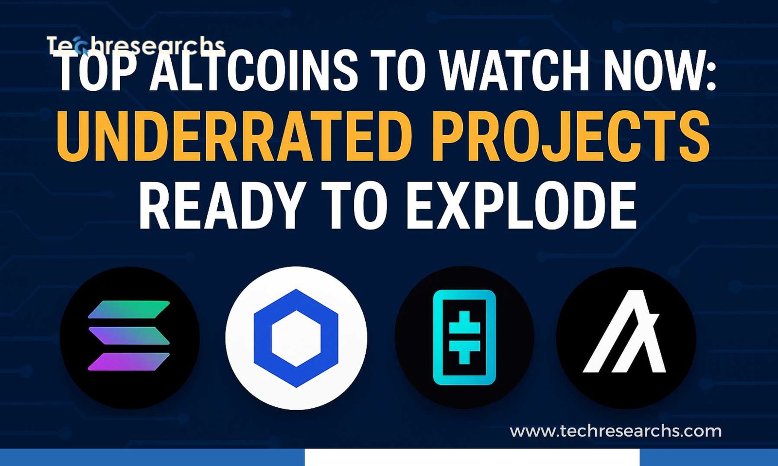 Top Altcoins to Watch Now: Discover Underrated Crypto Gems